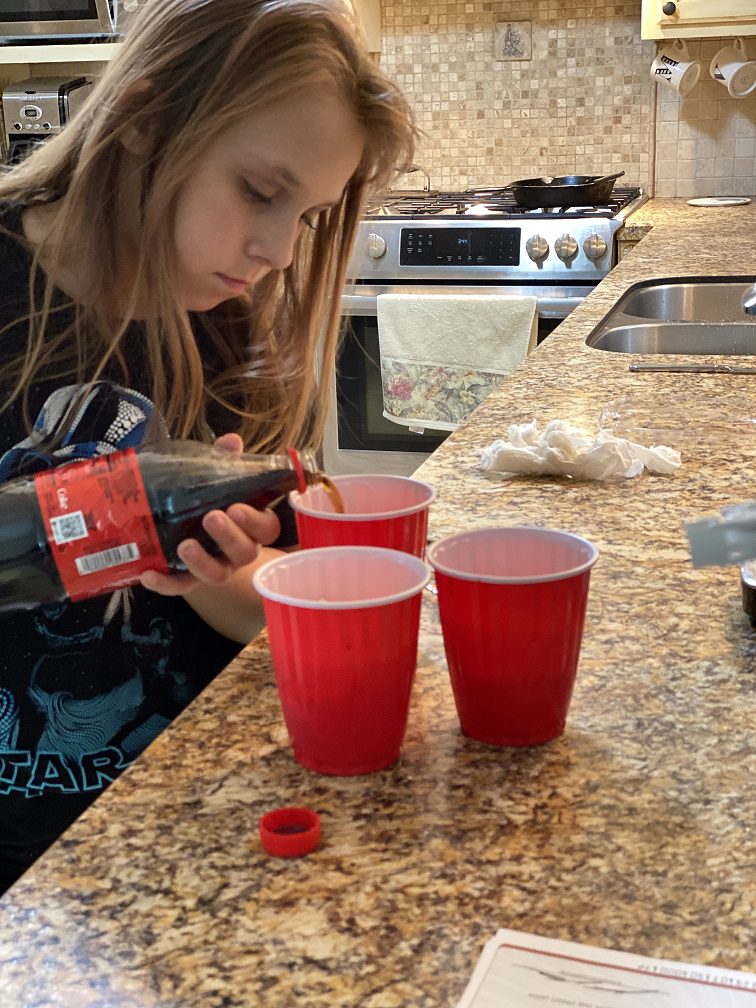 Coke Floats the Perfect Summer Cool Down - Peony Lane Designs