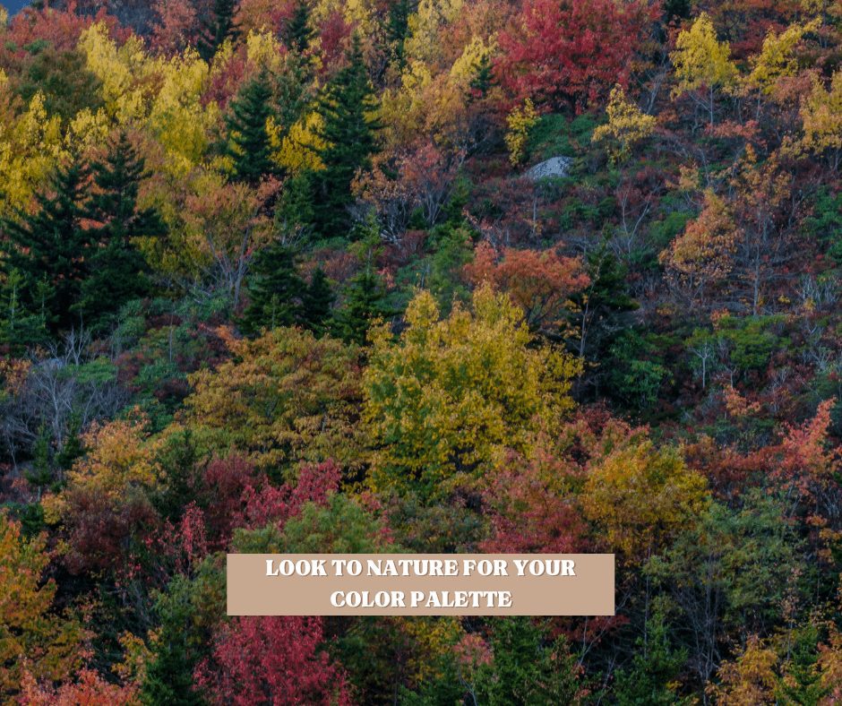 Look to nature for your cottagecore color palettePeony Lane Designs